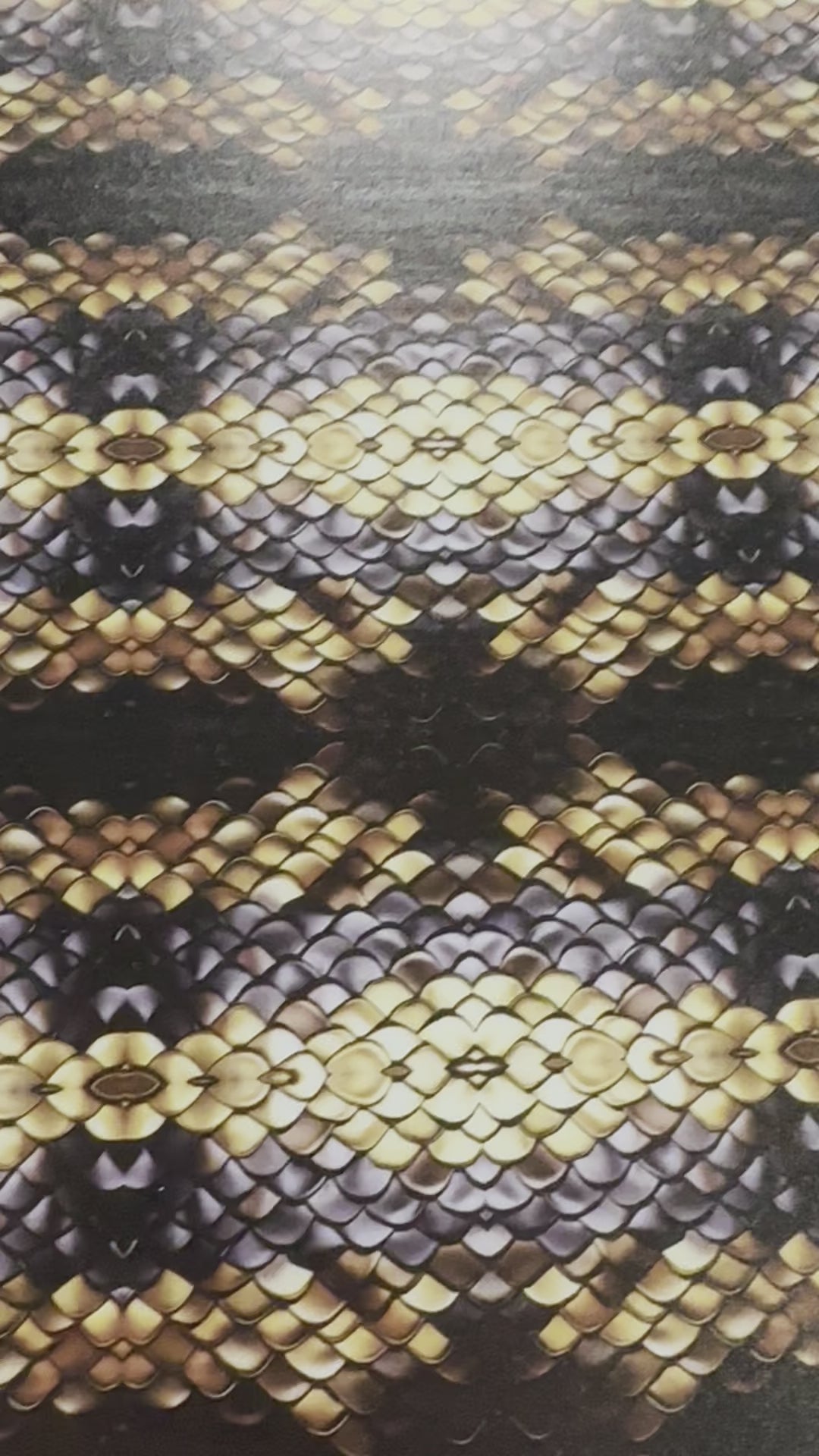 Realistic Metallic SnakeSkin Pattern Acrylic Sheet CMB PRESTIGE PATTER ...