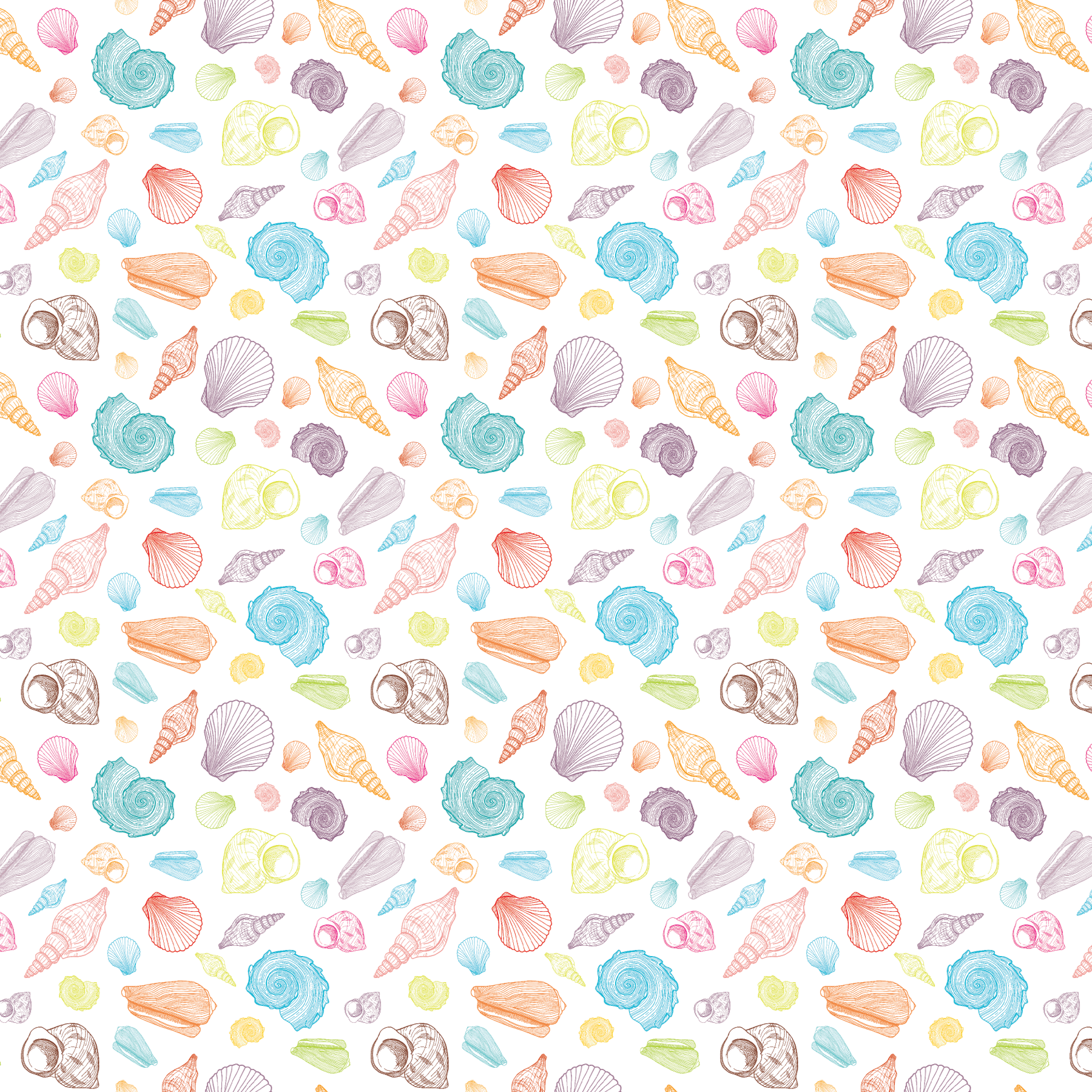 Bright Seashells Pattern Acrylic Sheets – Custom Made Better